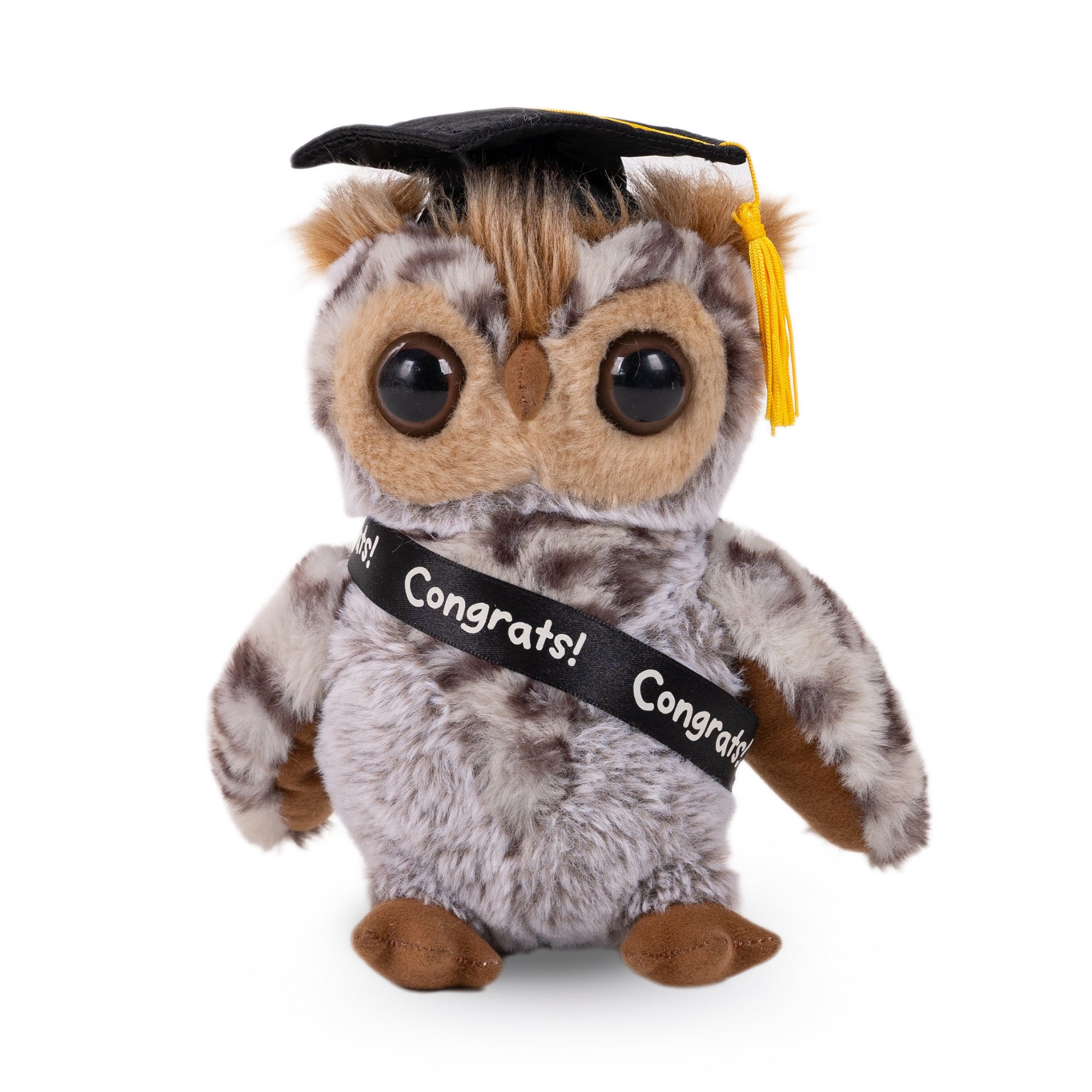 Plushland Graduation Plush Owl with Cap & Sash – Graduation Stuffed Owl